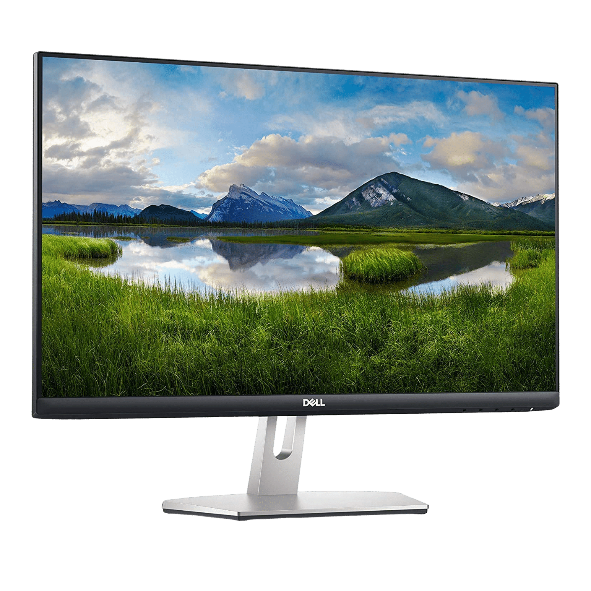 Buy Dell S2421HNM FHD IPS Monitor (Silver, 27 inch) Online