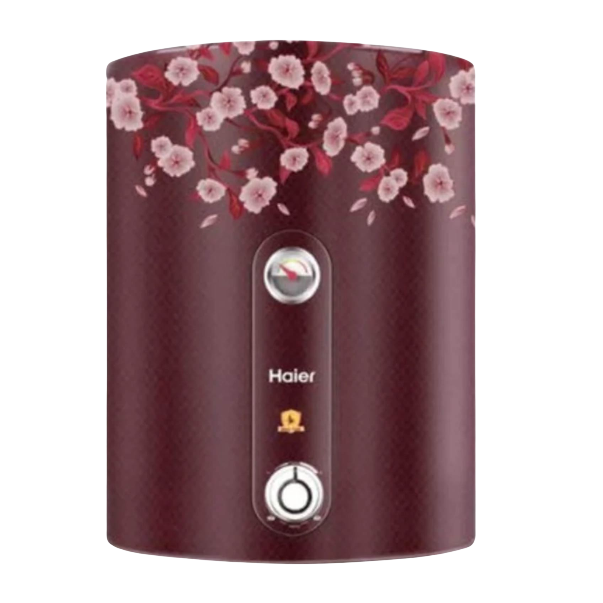 Haier Electrical Vertical Color 10L FR Storage Water Heater