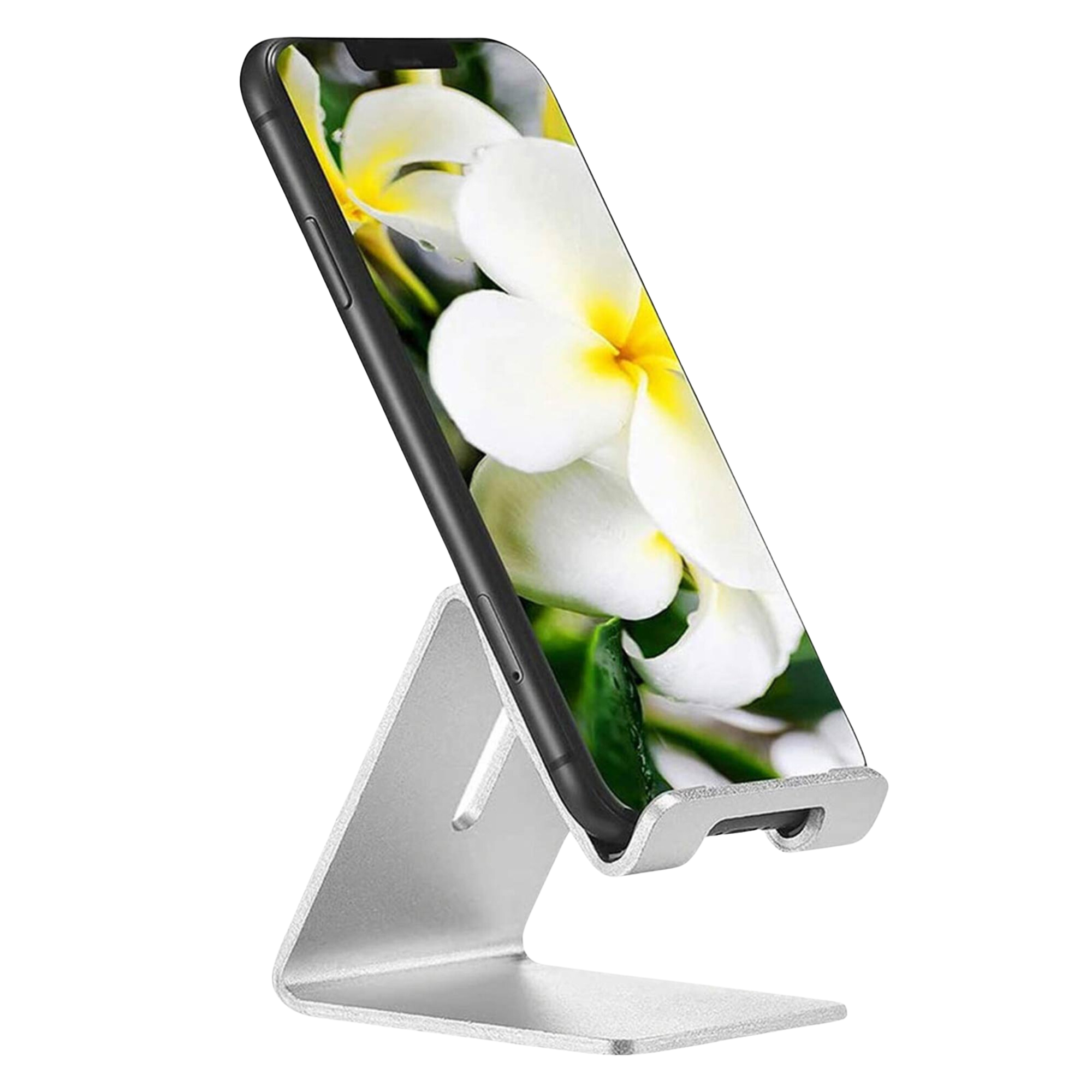 Inbase Handy Desktop Stand (Silver)