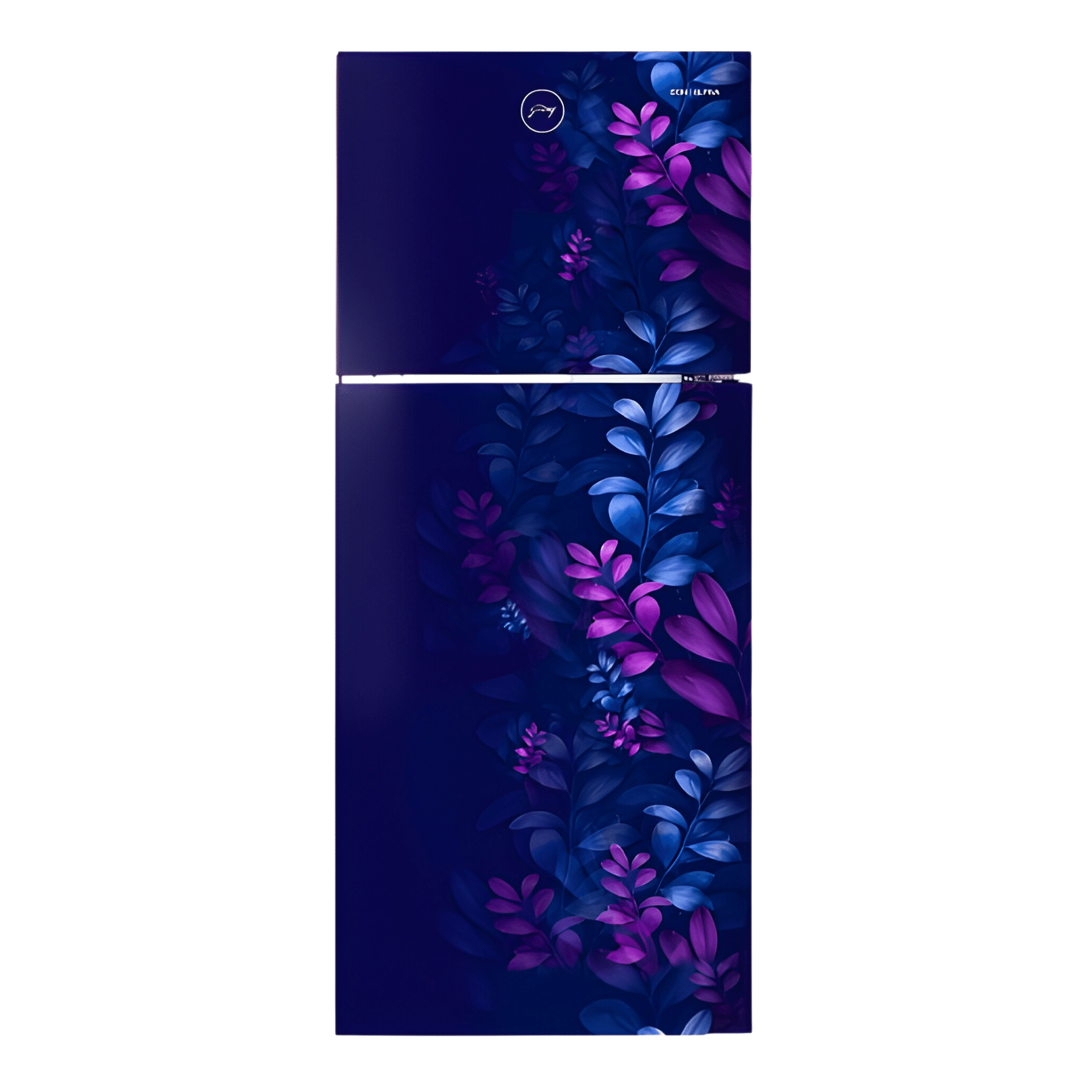 Godrej 233 L Frost Free Double Door 2 Star Fridge, Aria Blue