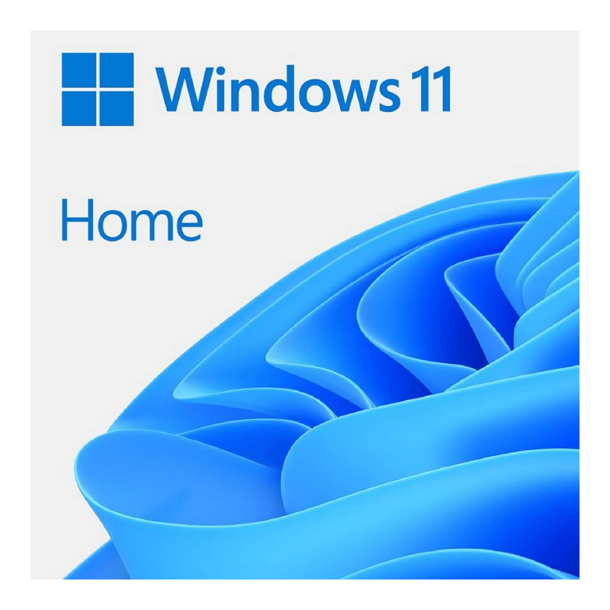 Windows 11 64 Bit OEM DVD Single Users OS | Life Time (Win)