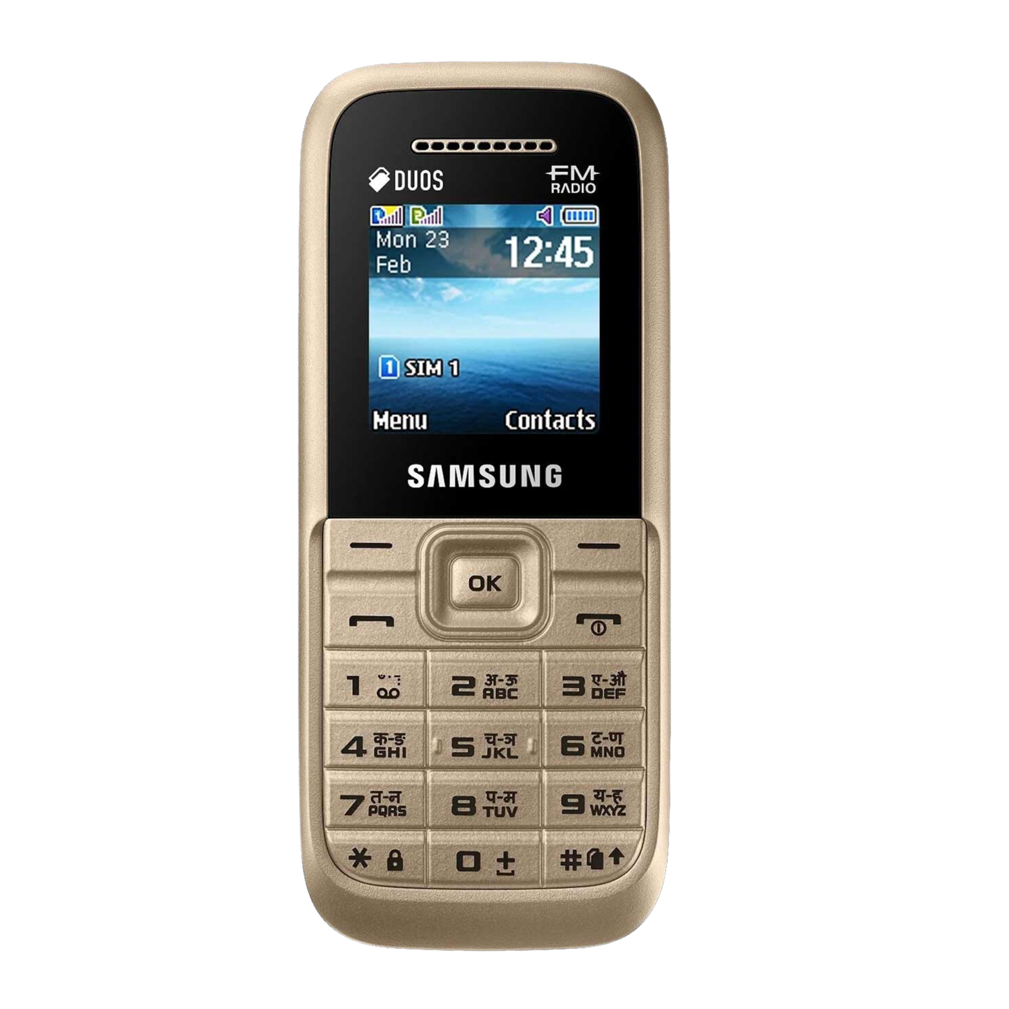 Buy Samsung B110(Gold) at Best Price